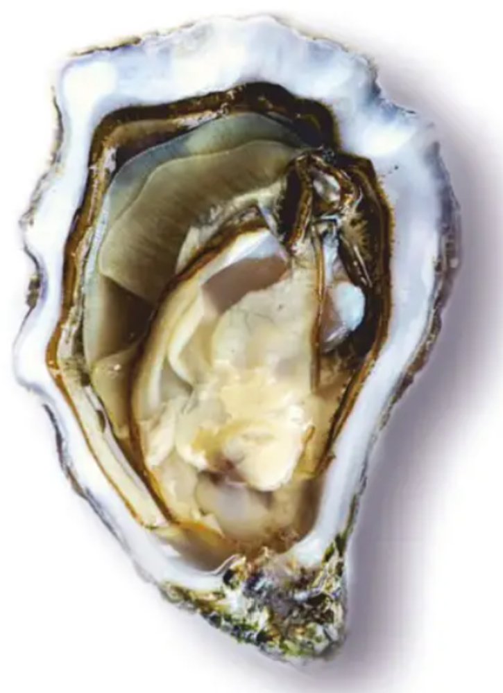 Gastro Укриття в Київ